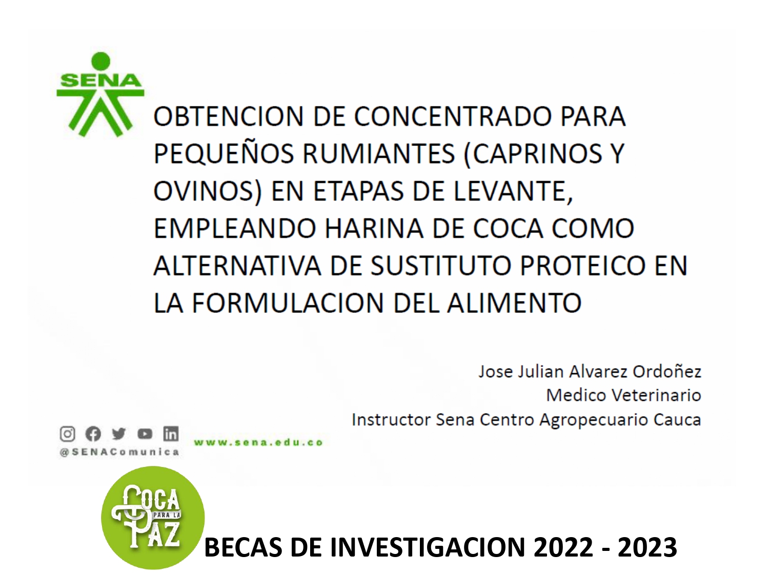 BECAS DE INVESTIGACION #4 CONCENTRADOS PARA ANIMALES CON HARINA DE COCA ...
